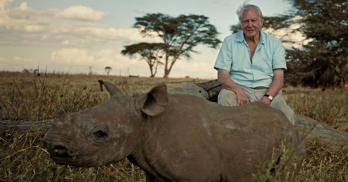 The Story of Life on Earth with Sir David Attenborough : The Story of ...