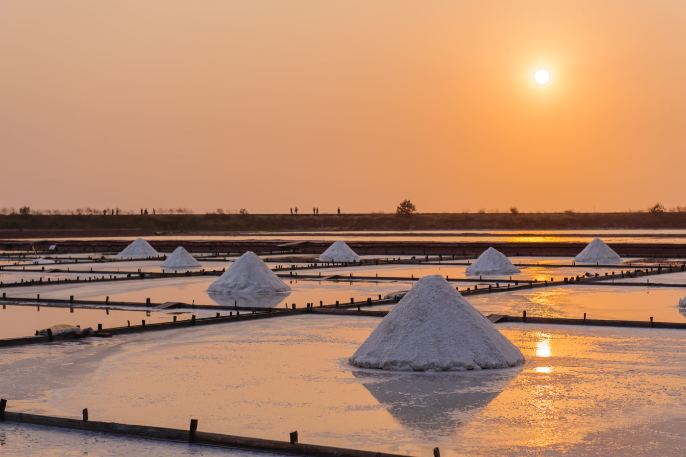 Extended Classic: The Salt of the Earth (Part 1) : Extended Classic ...