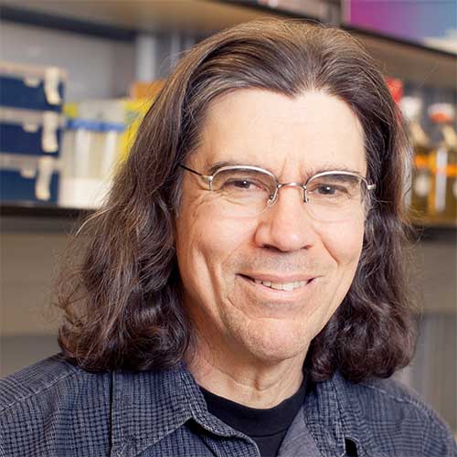 Cosmic Evolution, with David Grinspoon - StarTalk All-Stars : Cosmic ...