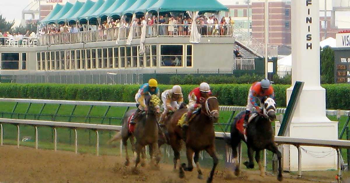 The Science of Thoroughbred Racing - Playing with Science : The Science ...